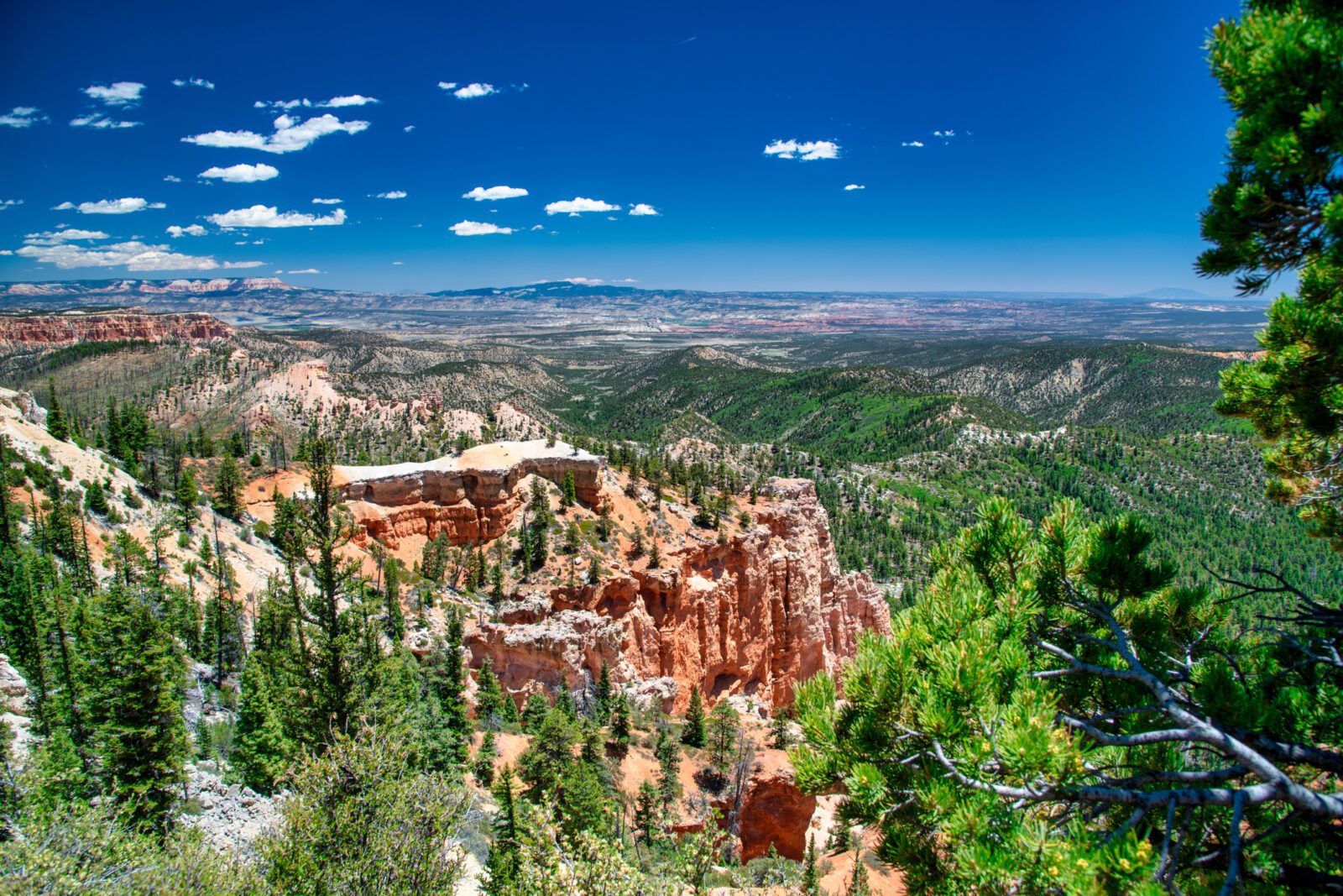 Zion Elopement Guide + Zion Elopement Locations - Emilee Setting