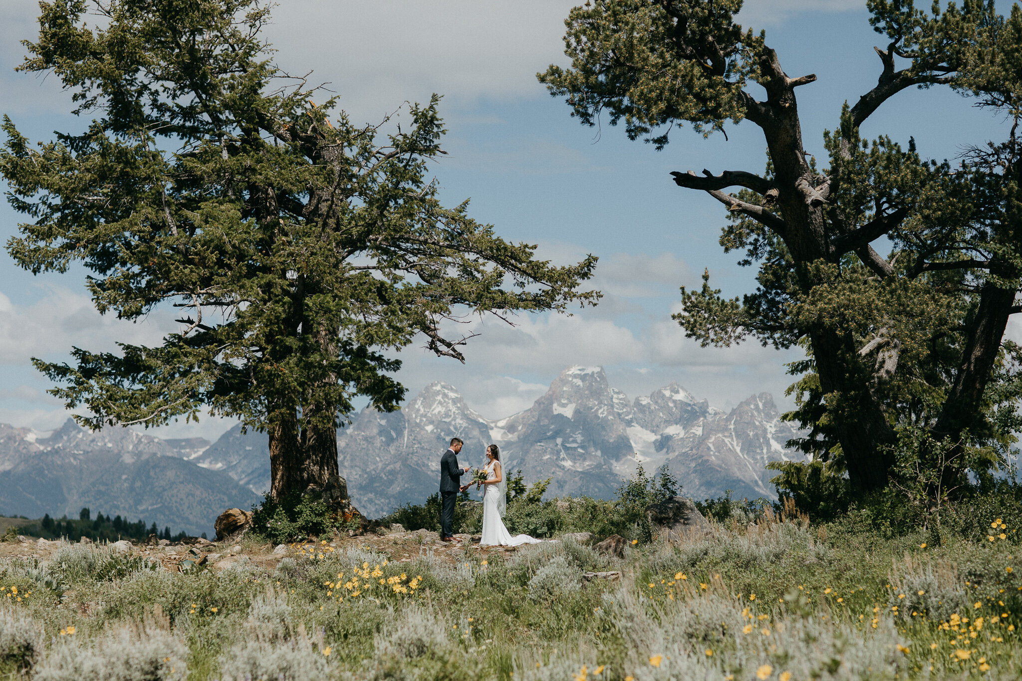 Jackson Hole Elopement Guide + Elopement Locations - Emilee Setting